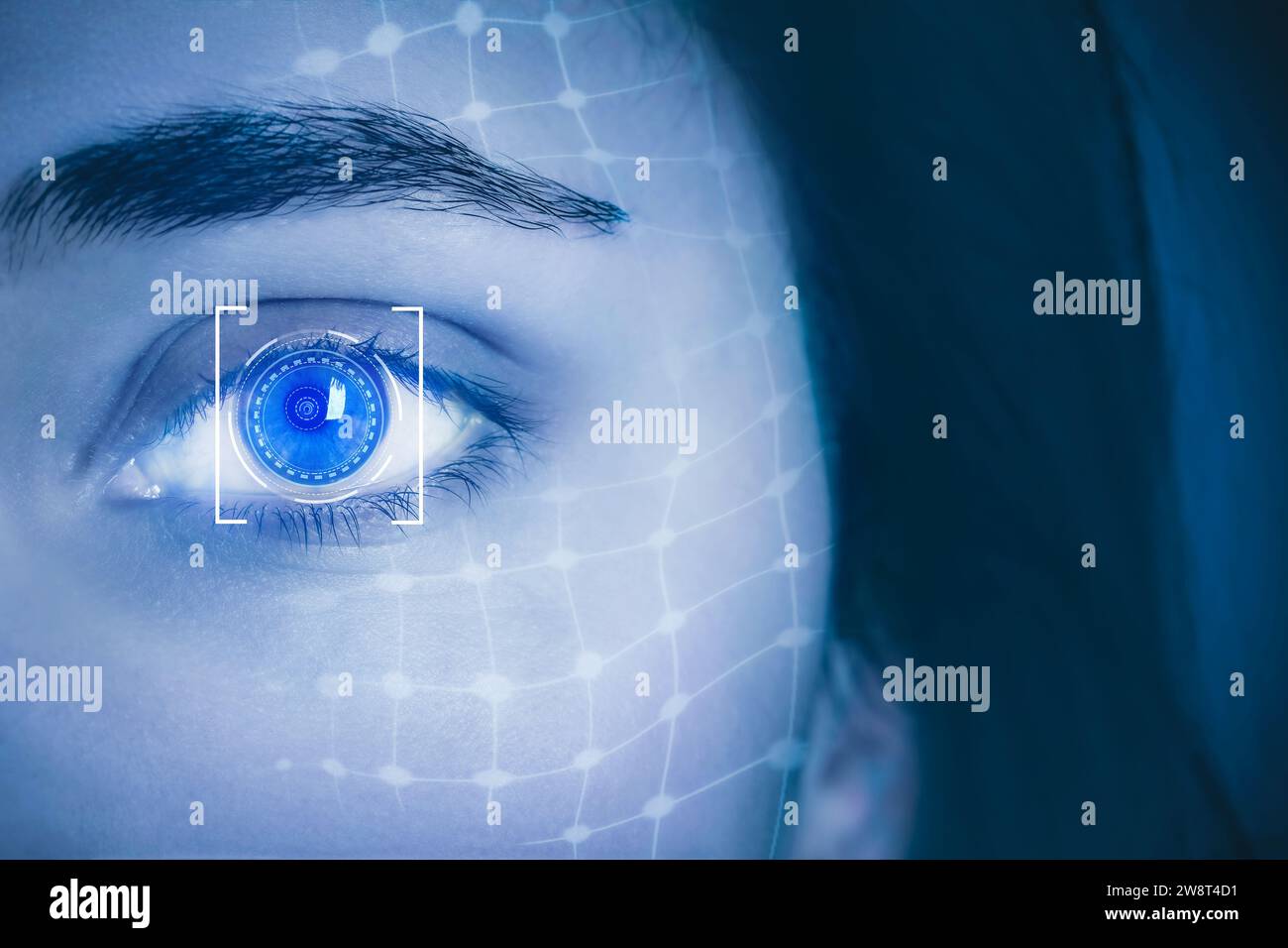Facial and iris recognition. Woman with digital biometric grid and scan ...