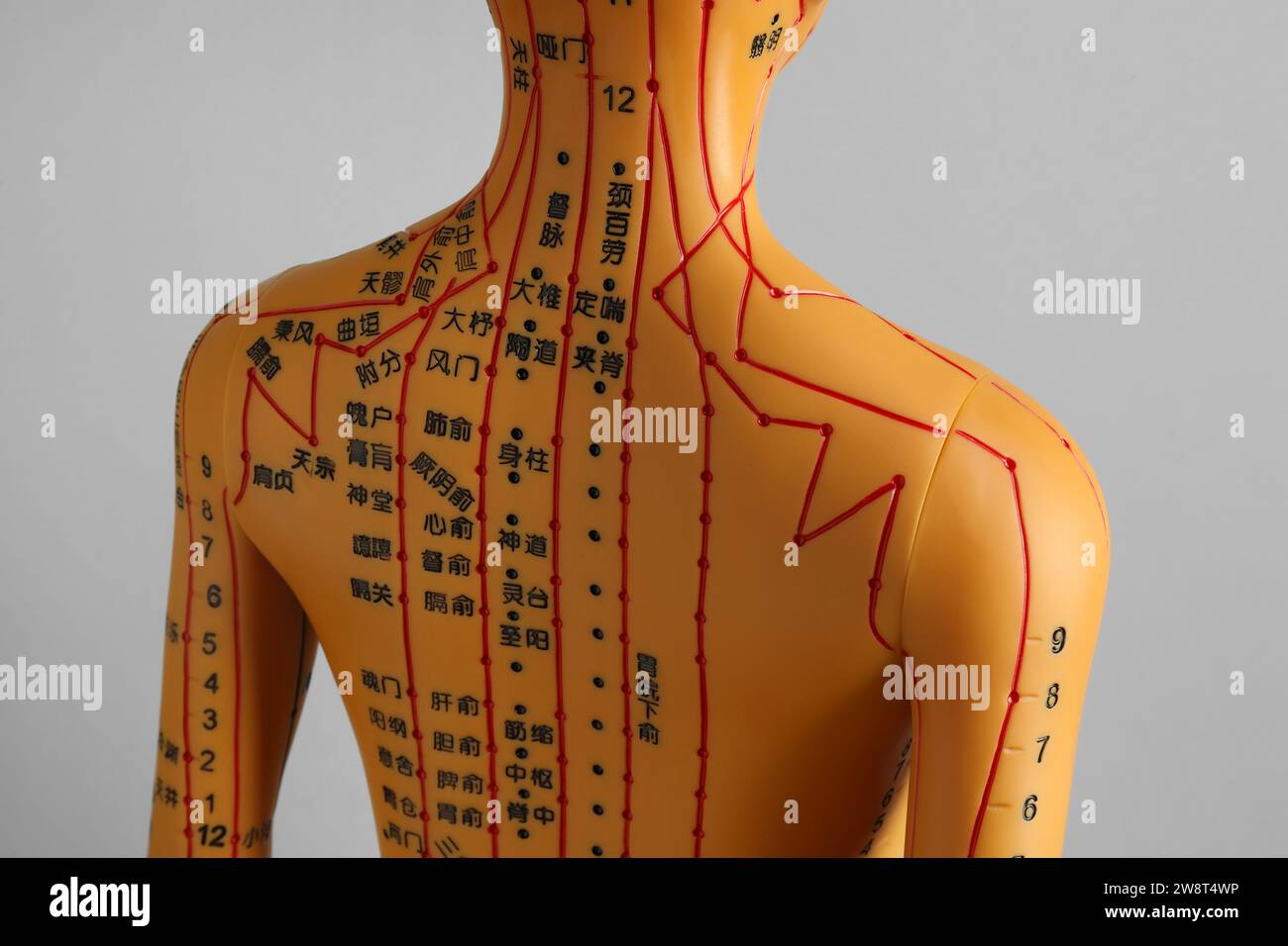 Acupuncture model. Mannequin with dots and lines on grey background ...