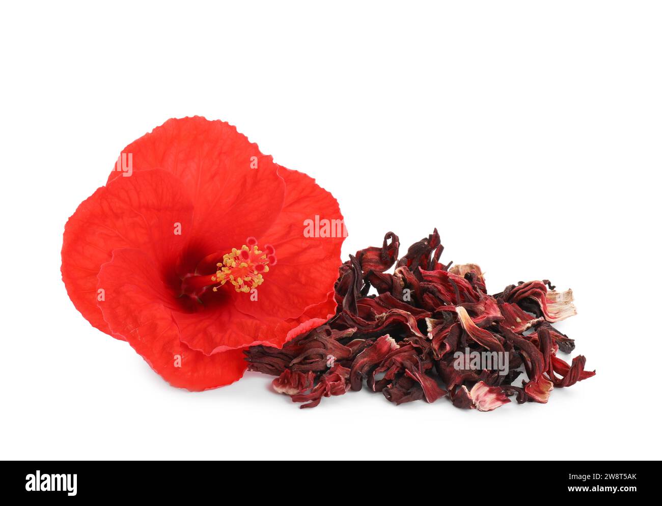 Pile Of Dry Hibiscus Tea And Beautiful Flower Isolated On White Stock