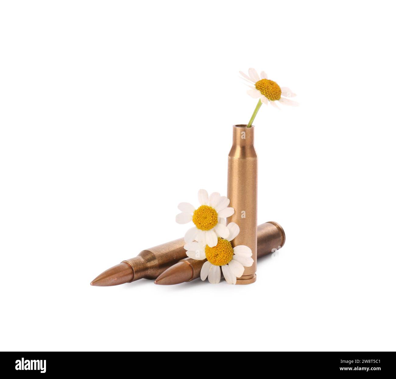 Bullets cartridge case beautiful hi-res stock photography and images ...