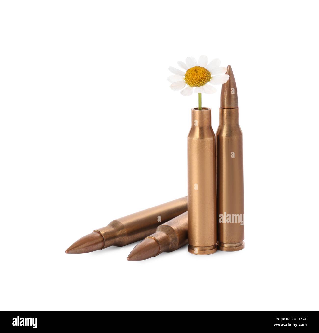 Bullets and cartridge case with beautiful flowers isolated on white ...