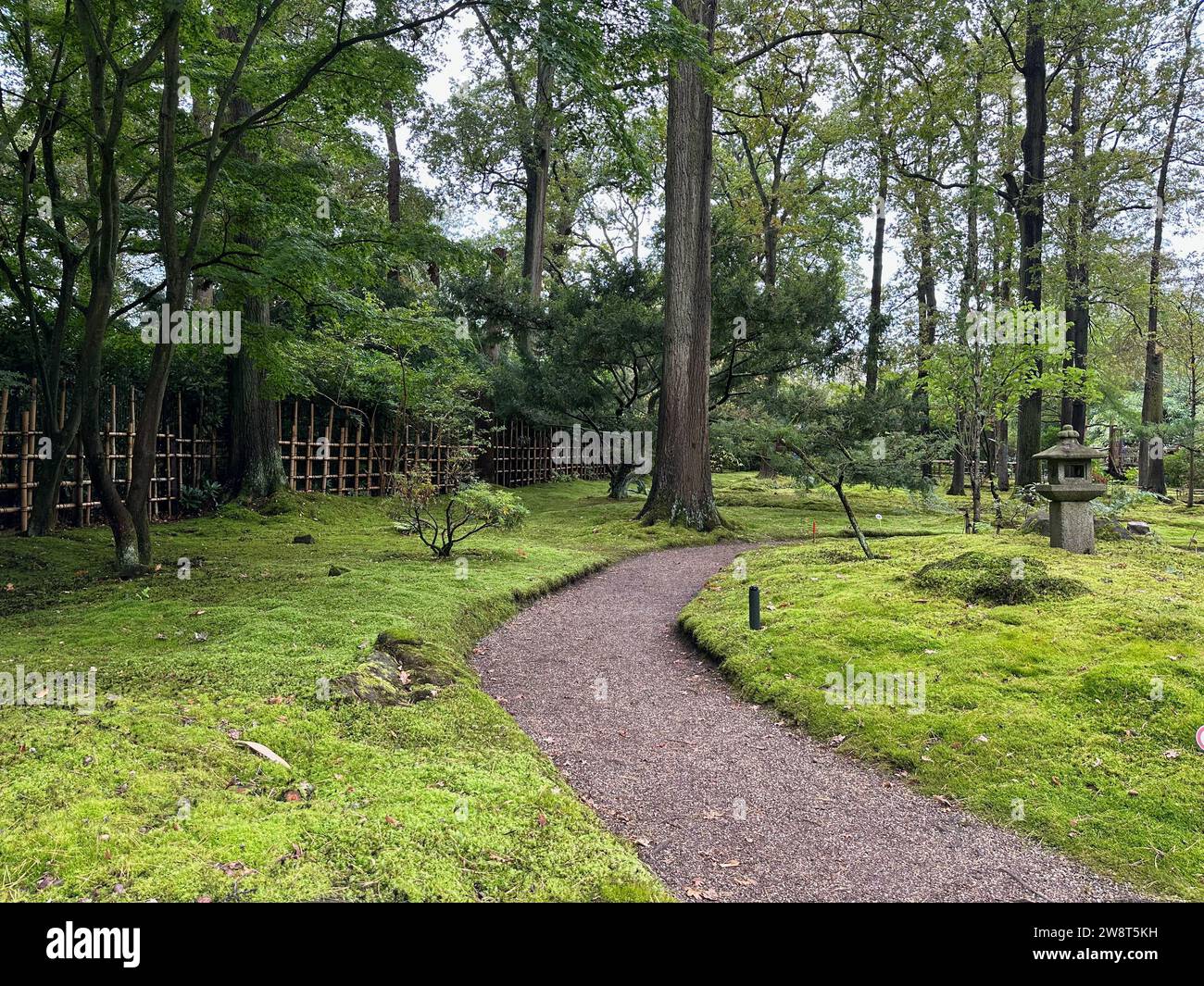 Bright moss, different plants, stone lantern and pathway in Japanese ...
