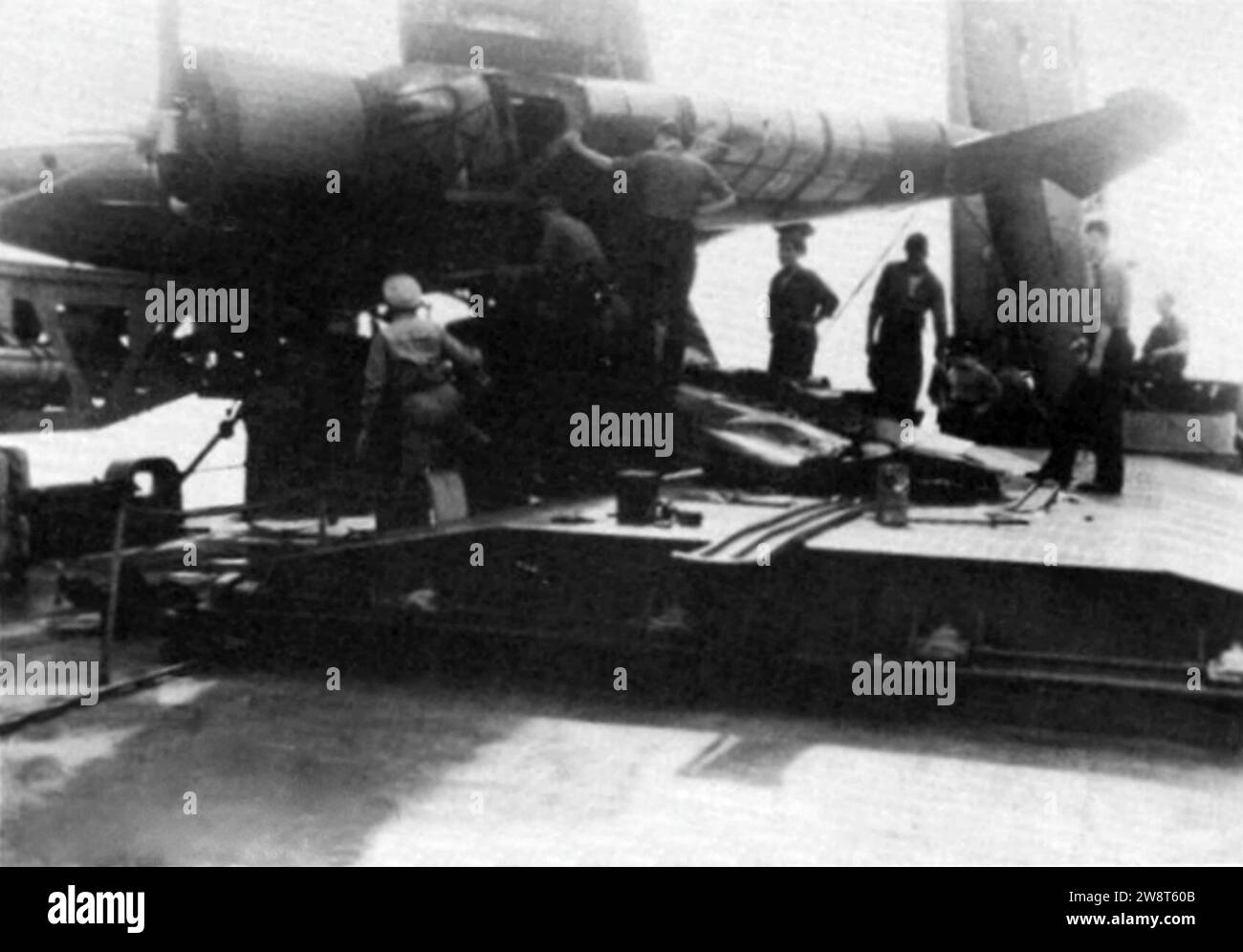 Os2u kingfisher hi-res stock photography and images - Alamy