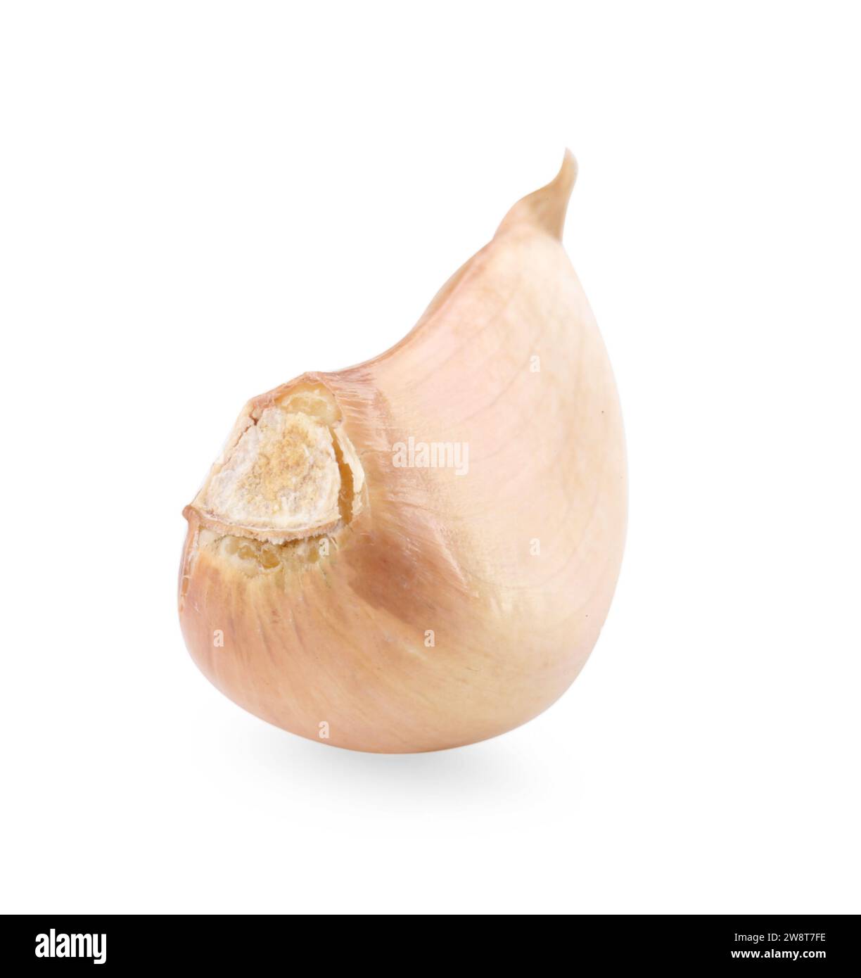 One clove of garlic isolated on white Stock Photo - Alamy