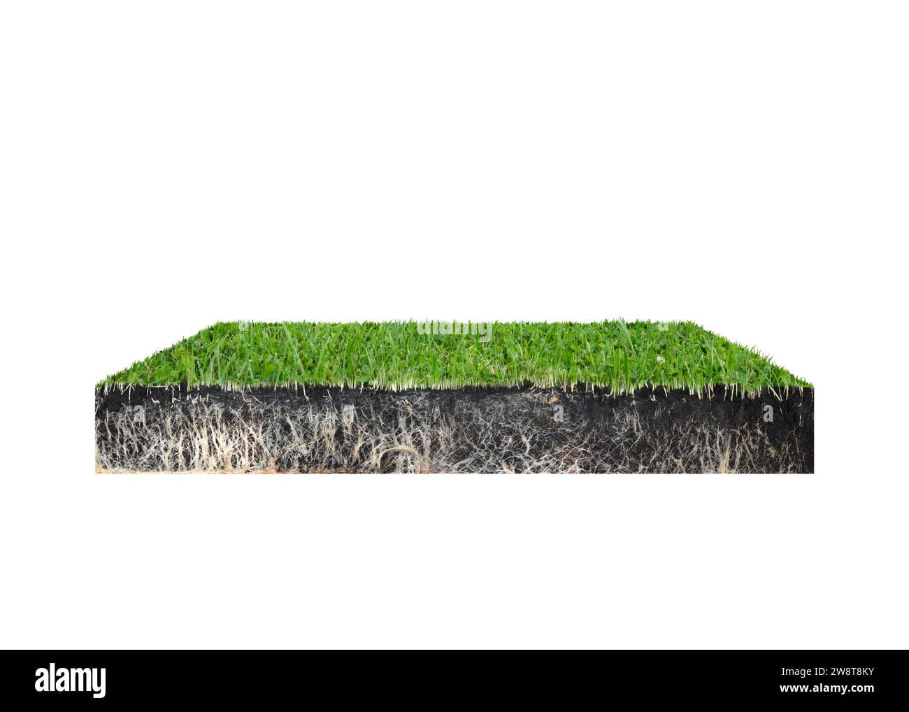 Green grass with soil. Land piece in shape of square isolated on white ...
