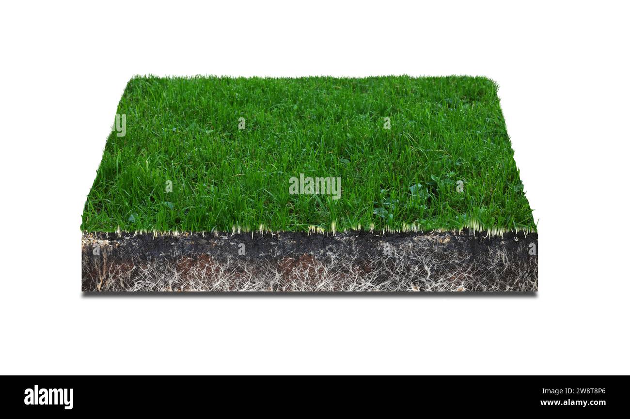 Green grass with soil. Land piece in shape of square isolated on white ...
