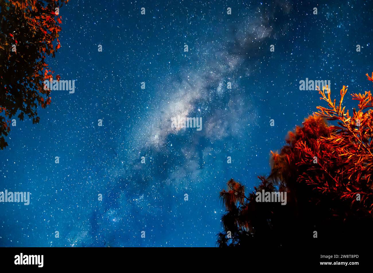 Nighttime atmosphere on Mount Bromo, Indonesia. A milkyway appeared ...