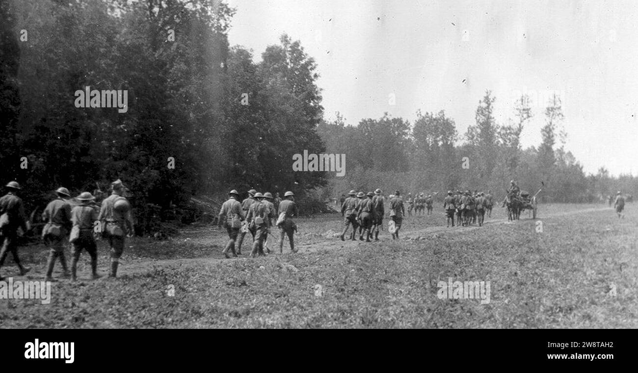 42nd division hi-res stock photography and images - Alamy