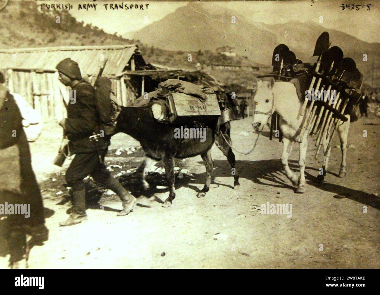 WWI Turkish Army transport by donkeys in Egypt 1915 (22228600010 Stock ...