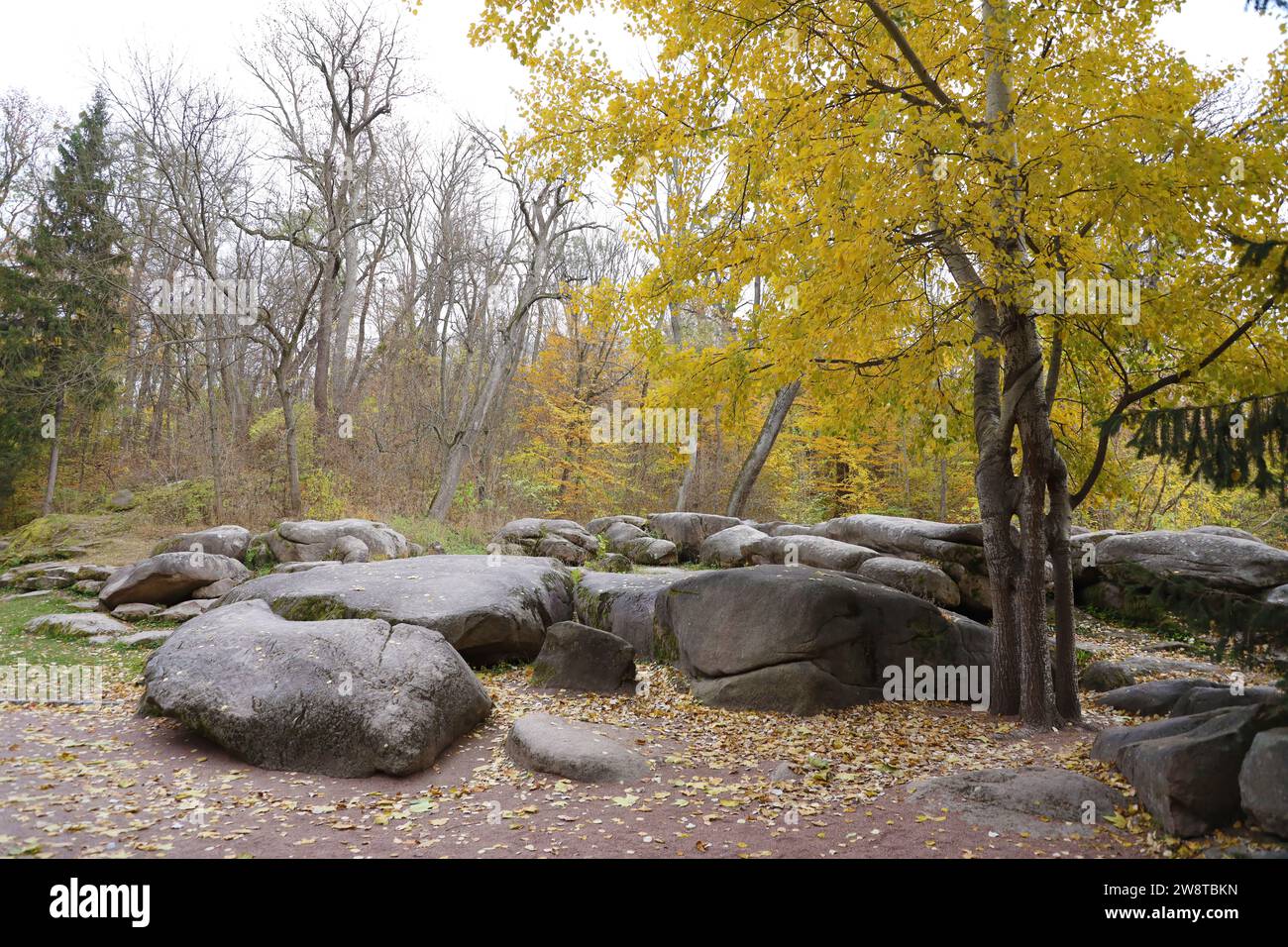 Beautiful Nature Autumn landscape. Scenery view on autumn city park ...