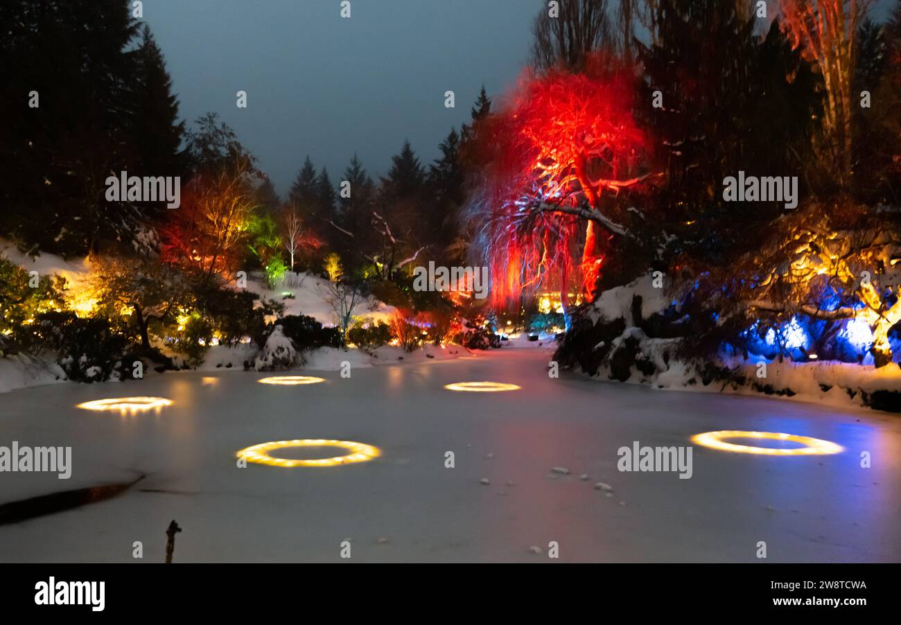Christmas lights with rings in frozen pond Stock Photo - Alamy