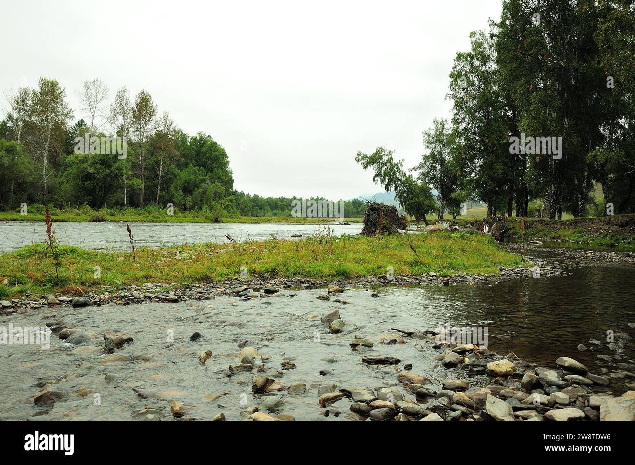 The rocky bed of a shallow river, divided into two channels, forms a ...