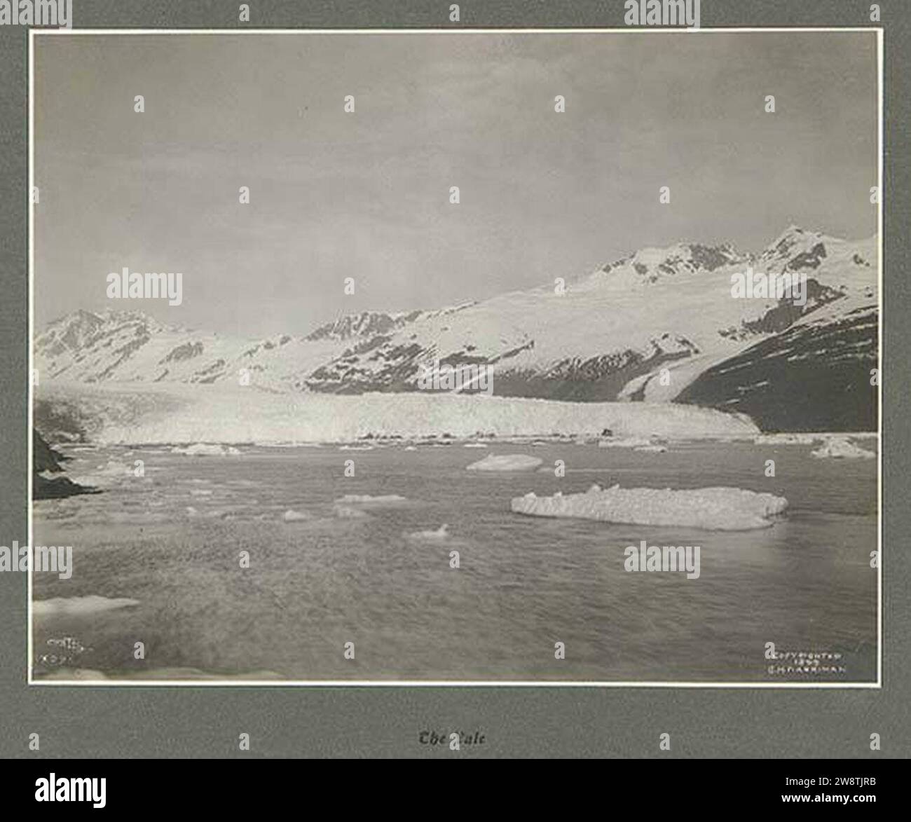Yale Glacier at the head of College Fiord, Prince William Sound, Alaska ...
