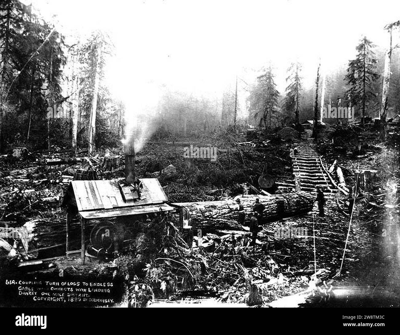 Yarding logs with donkey engine, unidentified logging operation ...