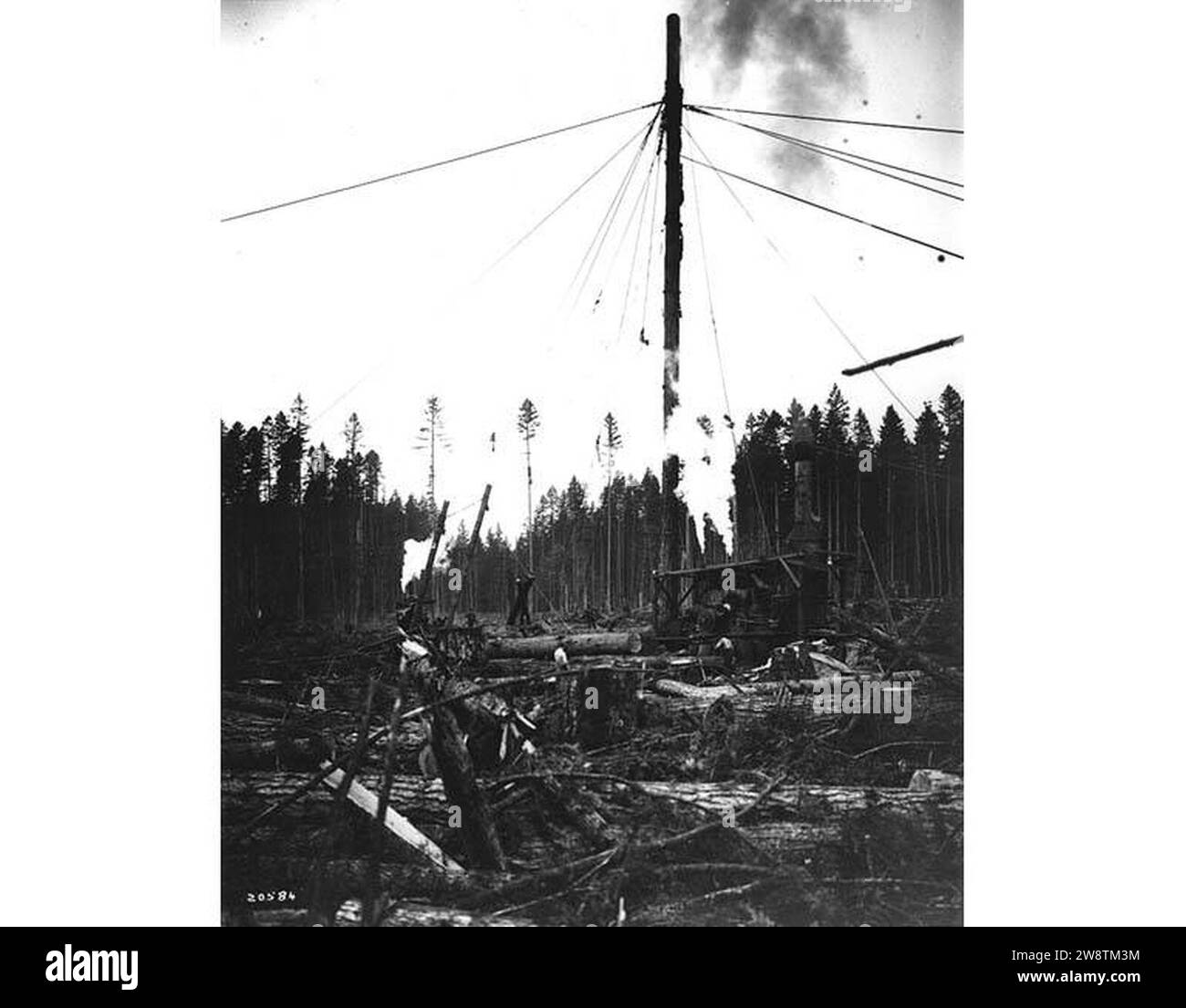 Yarding in the woods with ''the flying machine'', spar tree and donkey ...