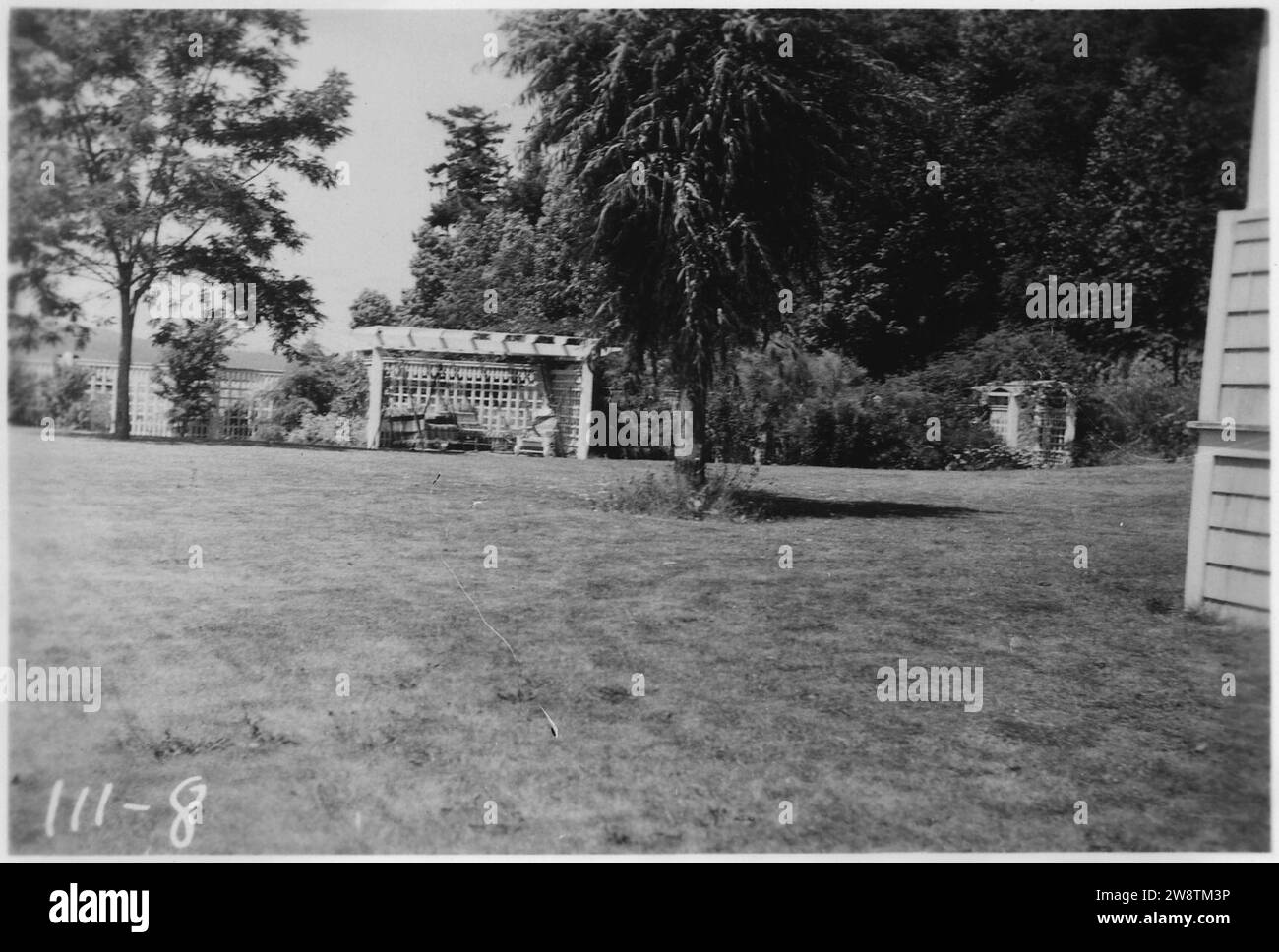 Yard view looking northerly. Parcel 130, William Wagner, Jr. Todd ...
