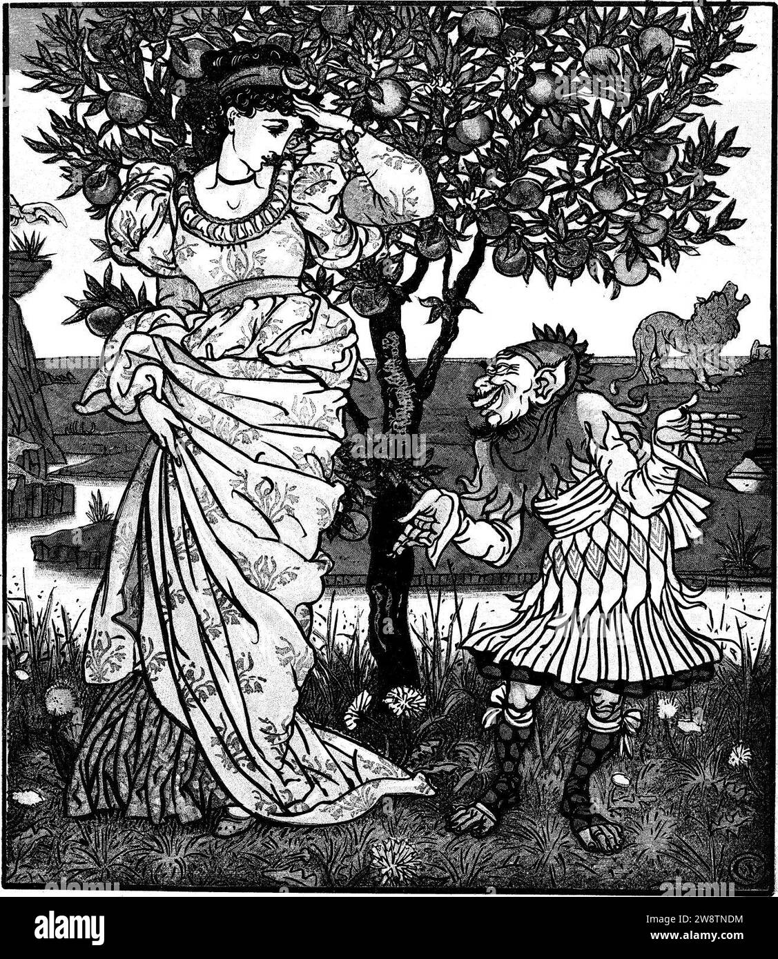 Dwarf yellow Black and White Stock Photos & Images - Alamy