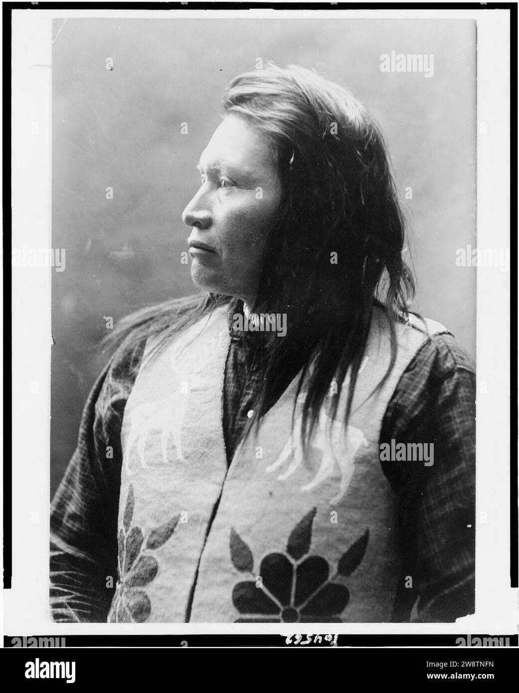 Yellow Wolf, Nez Percé warrior, half-length portrait, facing left Stock ...