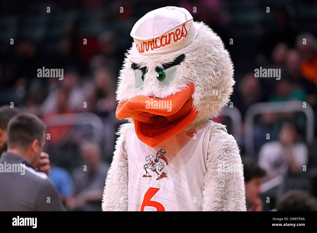 CORAL GABLES, FL - DECEMBER 21: Miami's mascot, Sebastian the Ibis ...
