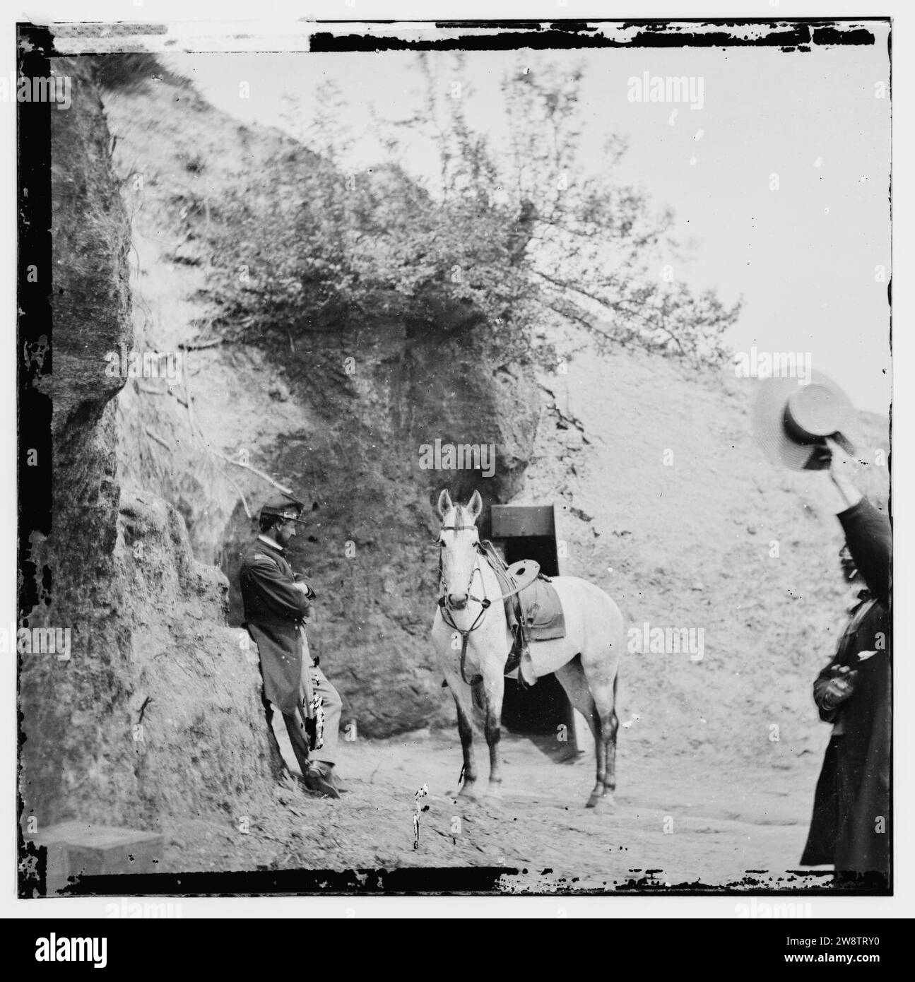 Yorktown, Virginia. Captain Perkin's 'Sesesh' horse captured at ...