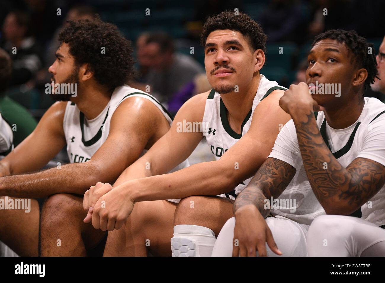 LAS VEGAS, NV - DECEMBER 02: Colorado State Rams forward Joel Scott (1 ...