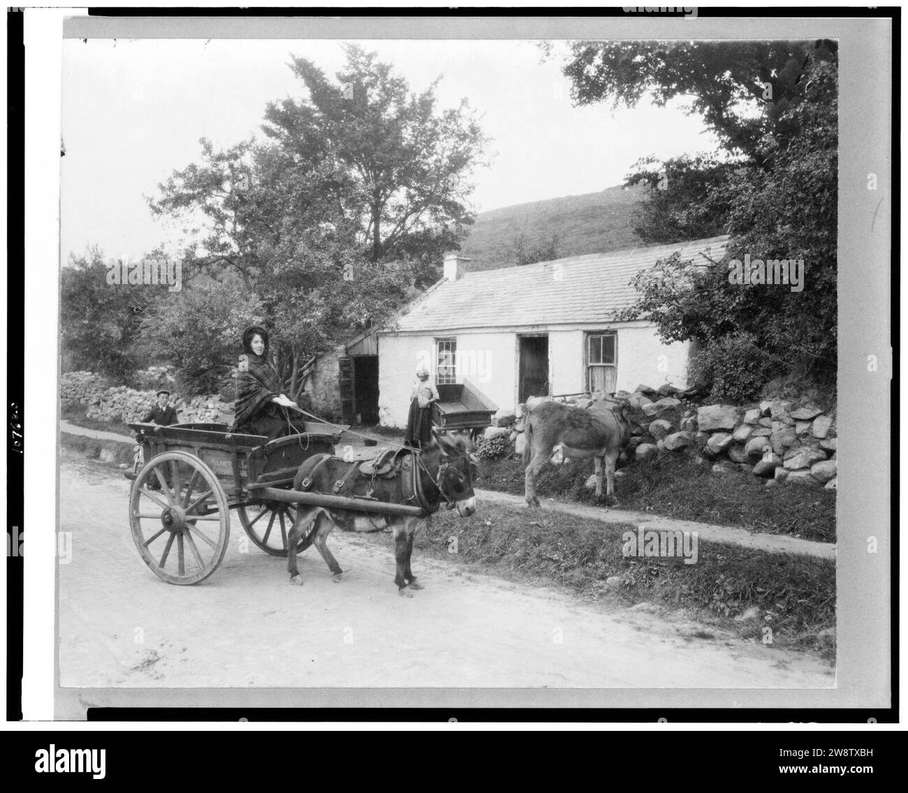 Young woman in a pony trap drawn by donkey, Ireland Stock Photo - Alamy