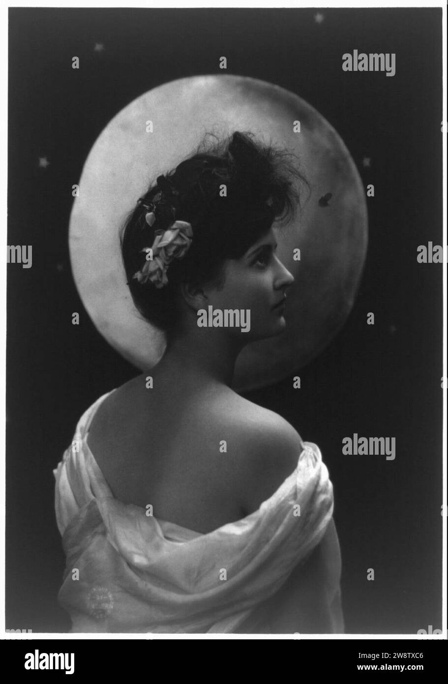 Young woman modeling- half lgth., back view, facing right Stock Photo ...