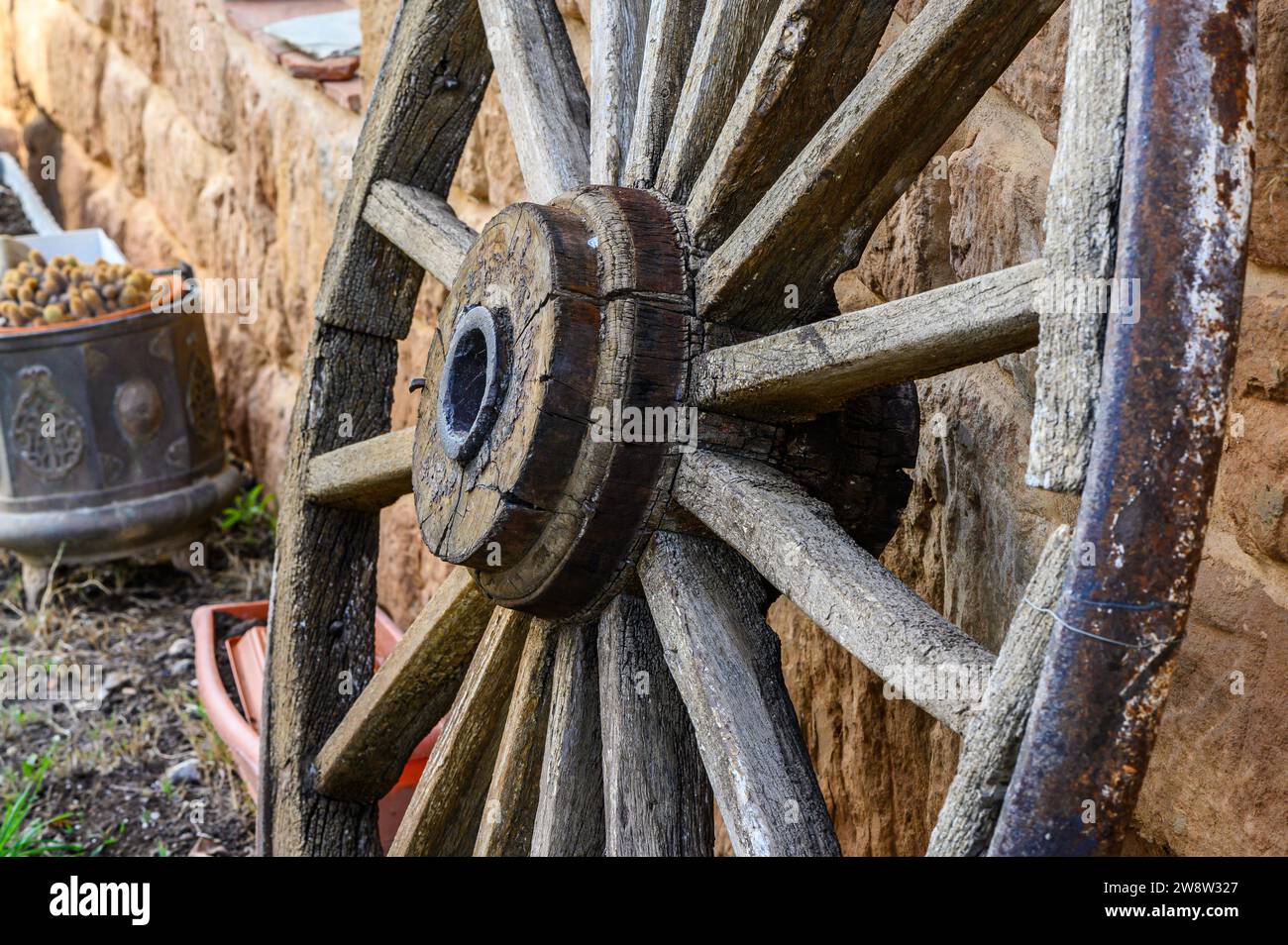 Old wooden wheel with spokes from a mule cart, seen from the side ...