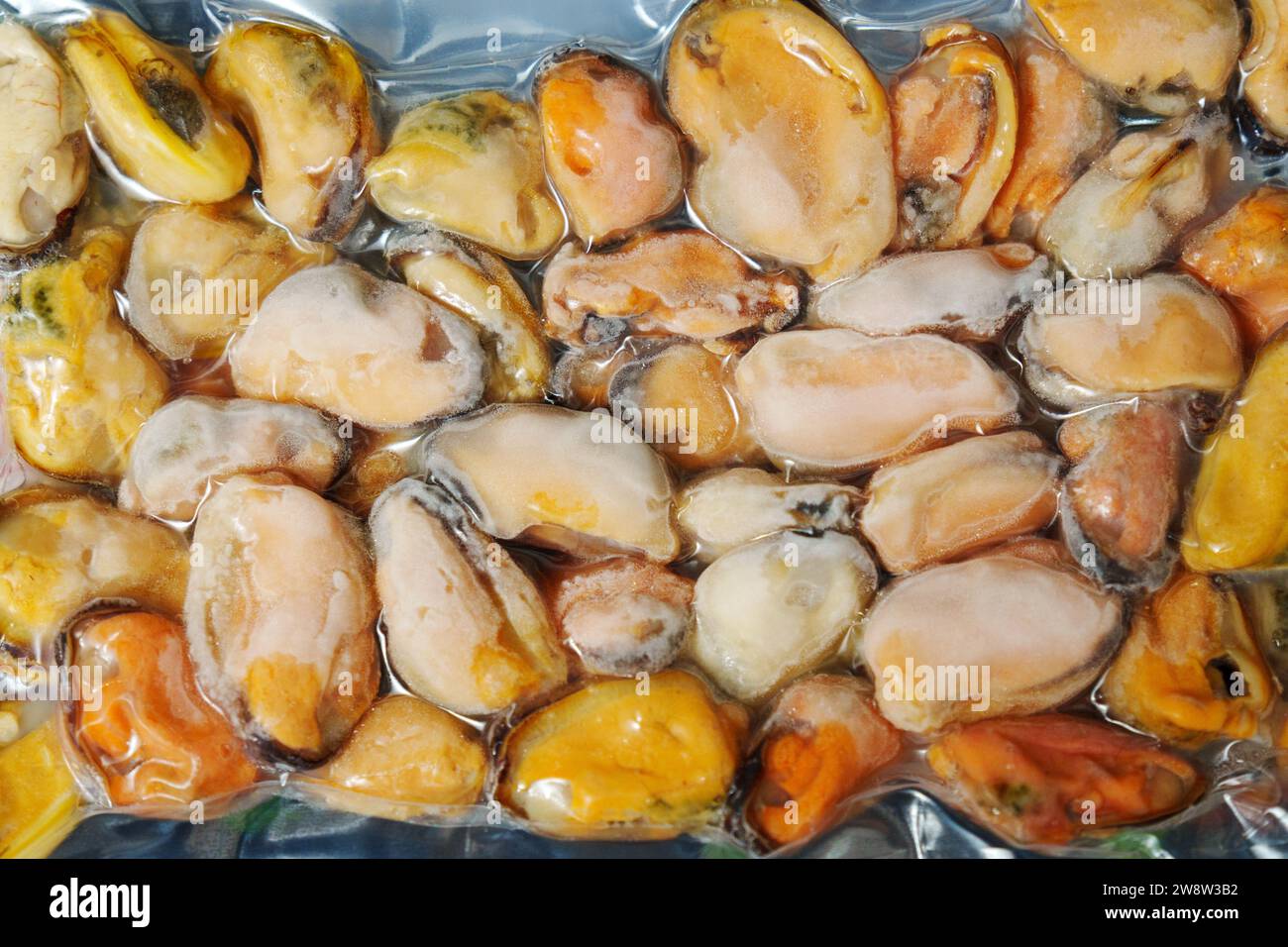 Frozen mussel meat hi-res stock photography and images - Alamy