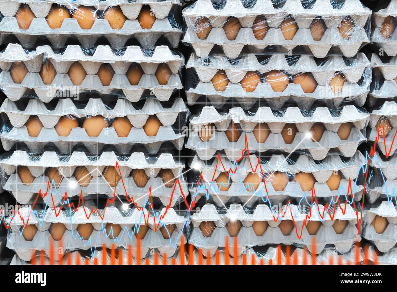 Egg, concept inflation and price increase for food. The food crisis ...