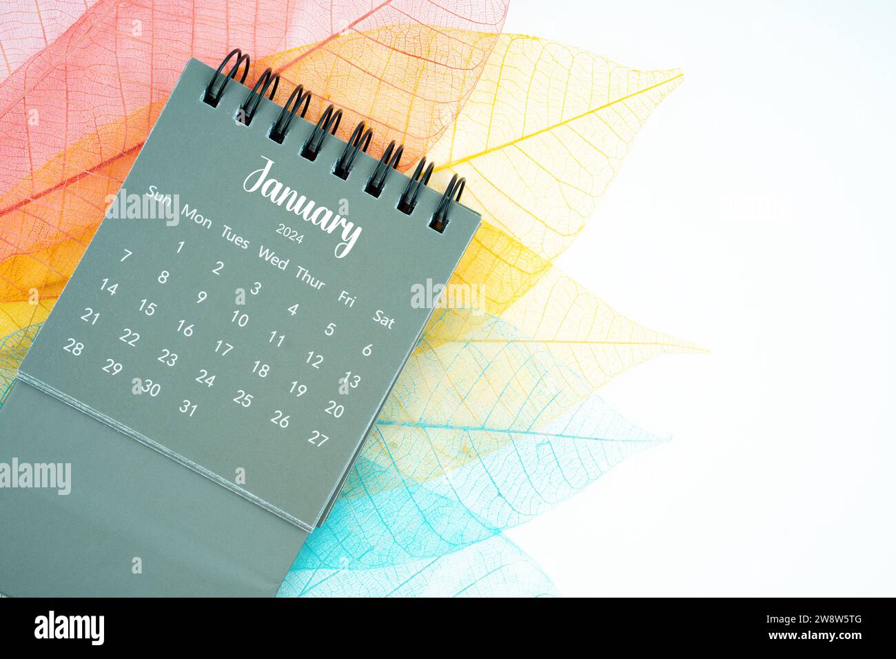 January 2024 monthly desk calendar and fiber structure of dry leaves ...