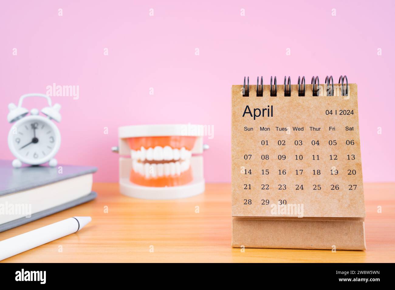 April monthly desk calendar for 2024 year and model dentures on the ...