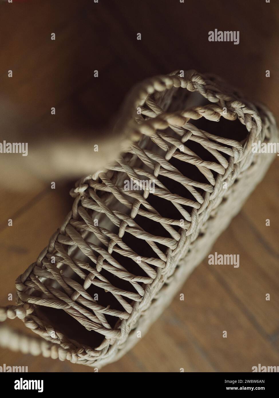 Intricacy of natural design hi-res stock photography and images - Alamy