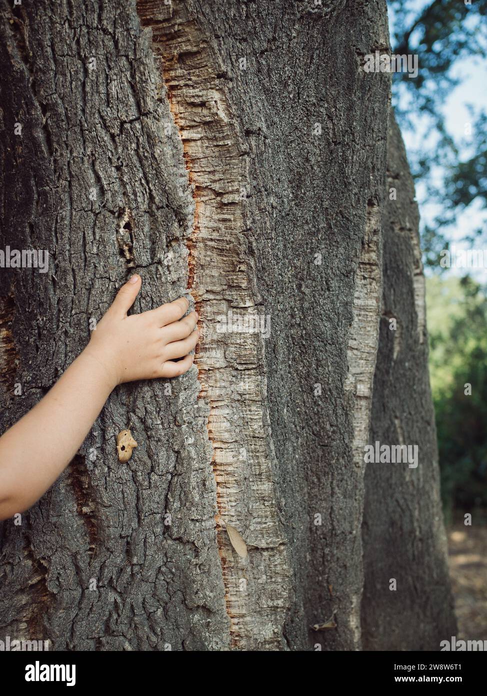 Vertical close up of a child’s hand touching the spongy texture of an ...