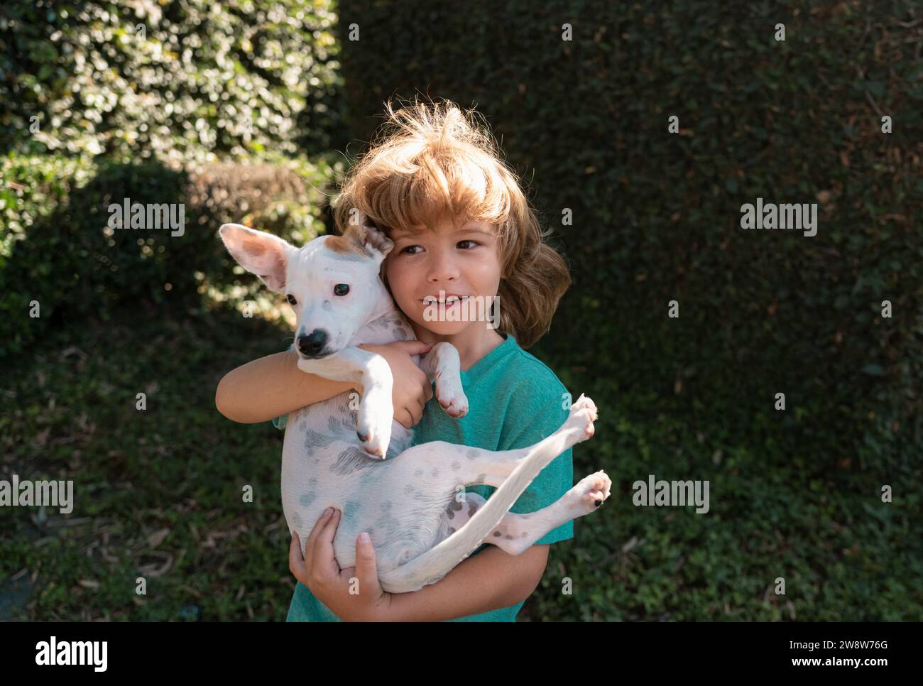 Dog and kid. Puppy with child. Happy boy hugging and playing with dogy ...
