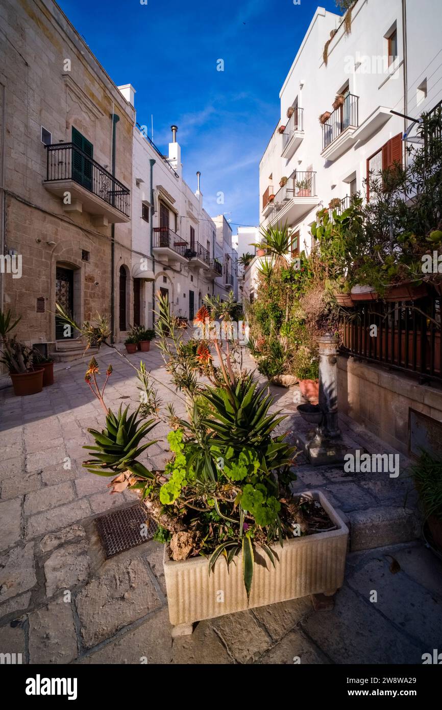 Urban street scene hi-res stock photography and images - Alamy