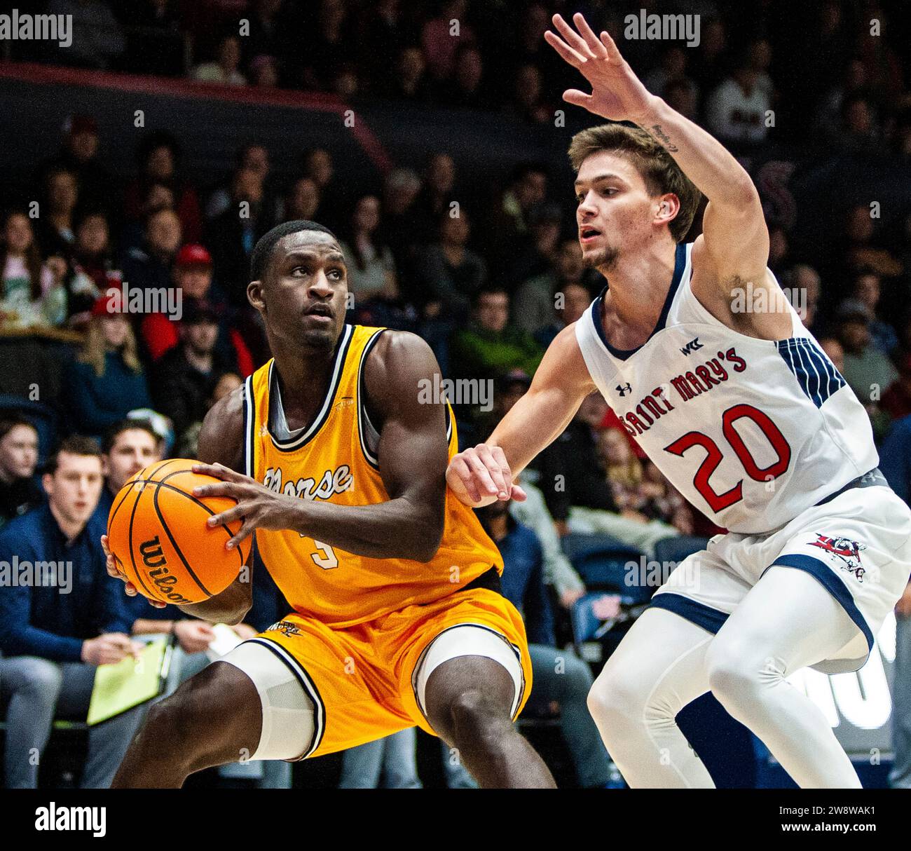 Warrick hi-res stock photography and images - Alamy