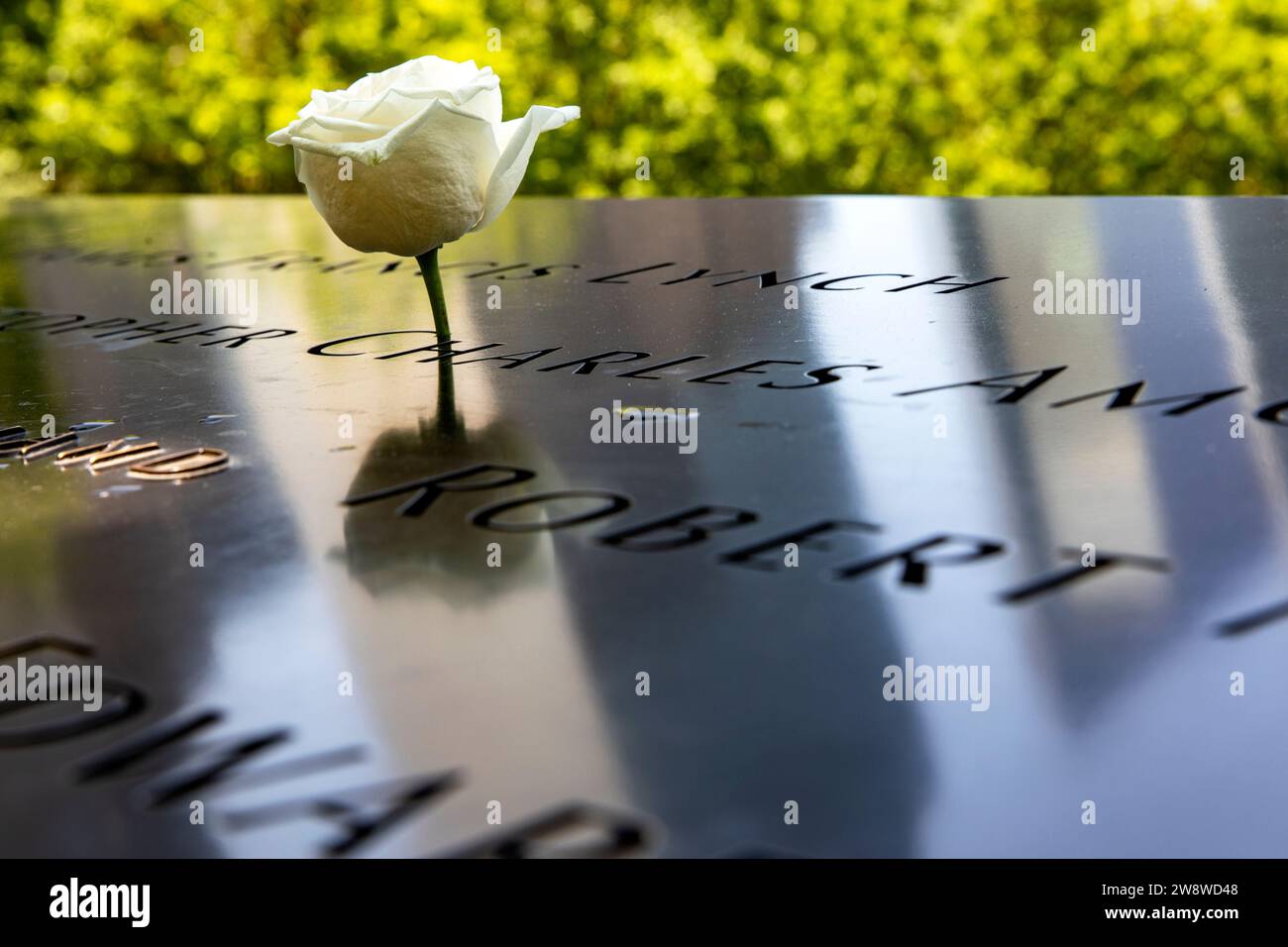 New York, USA; June 1, 2023: Big white rose at the World Trade Center ...
