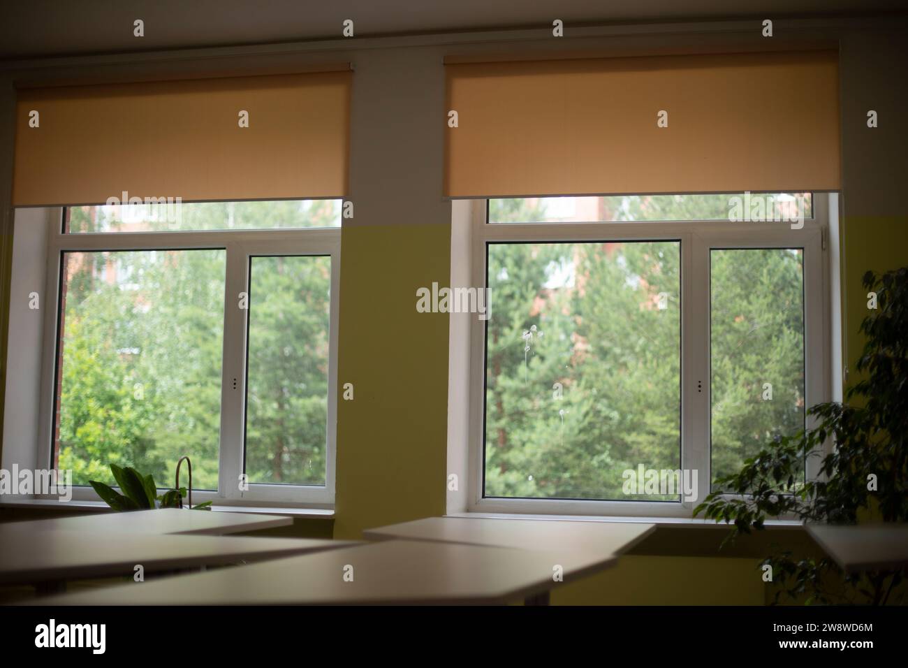 Windows in auditorium. Two large windows in room. Natural light in ...