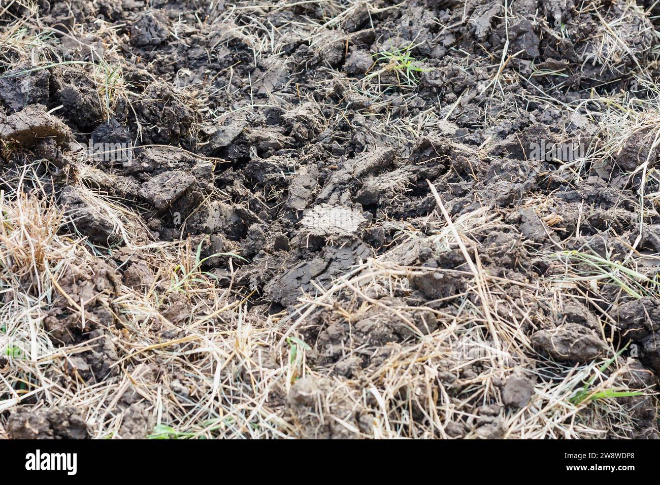 soil texture for gardening, agriculture background Stock Photo - Alamy