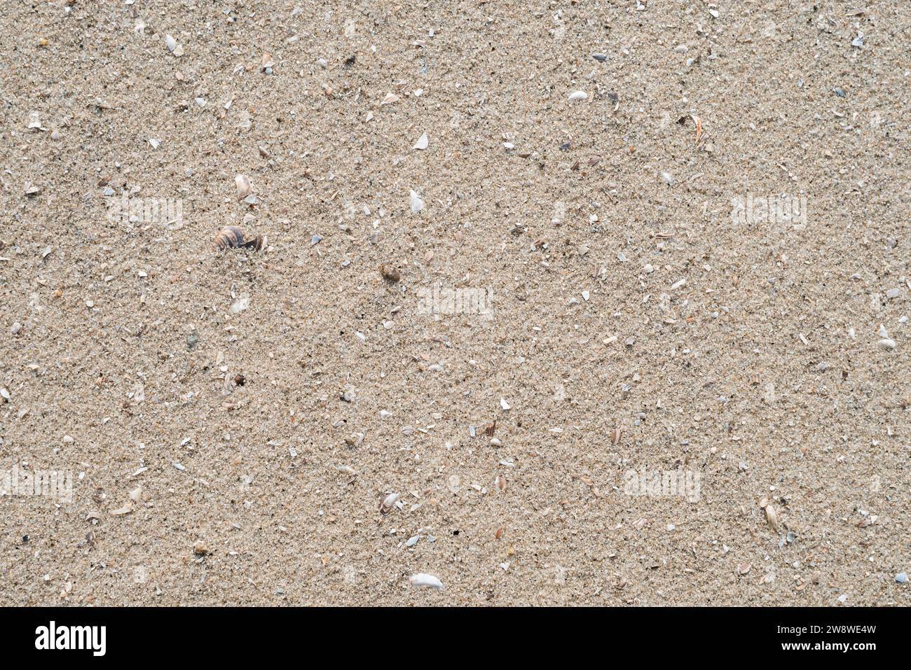 River sand with small shells on the beach. View from above Stock Photo ...