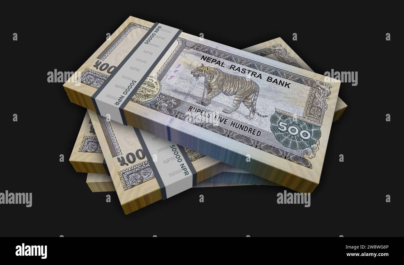 Nepal money Nepali rupees money pack 3d illustration. 500 NPR banknote ...