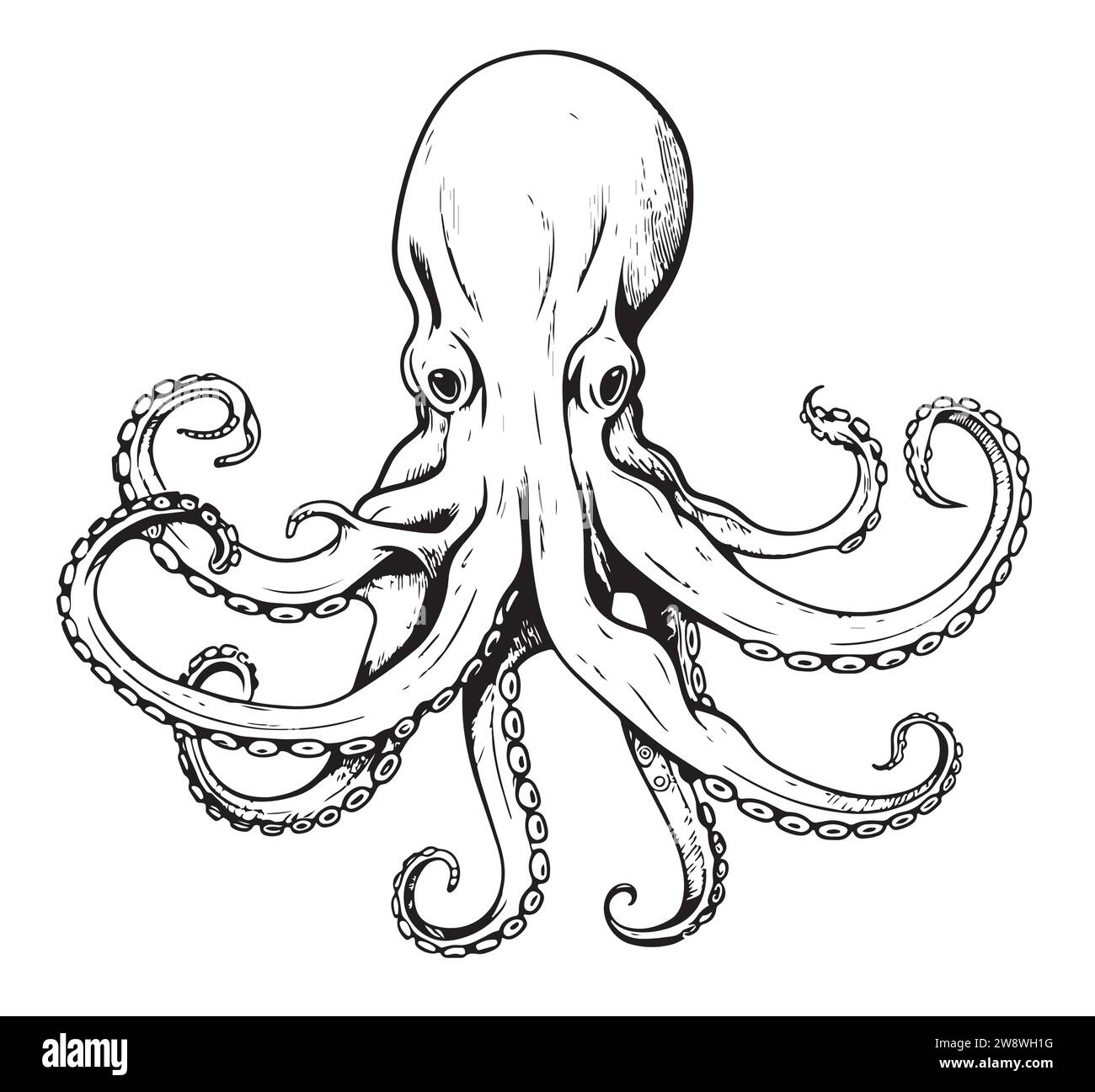 Squid ink sketch. Isolated on white background. Hand drawn vector ...