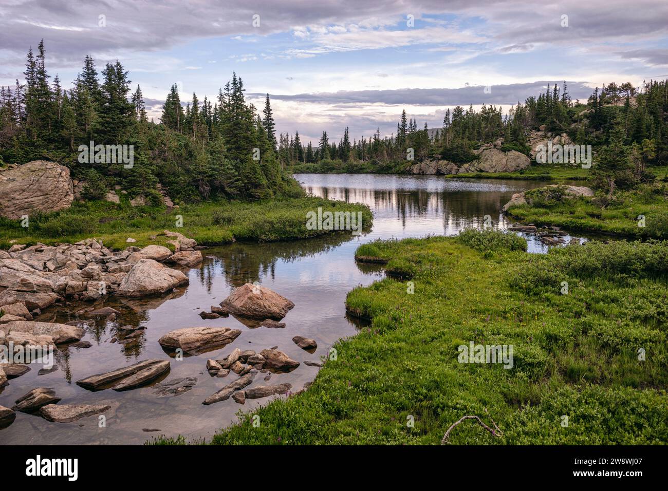 Wetland ecosystem in the James Peak Wilderness, Colorado Stock Photo ...