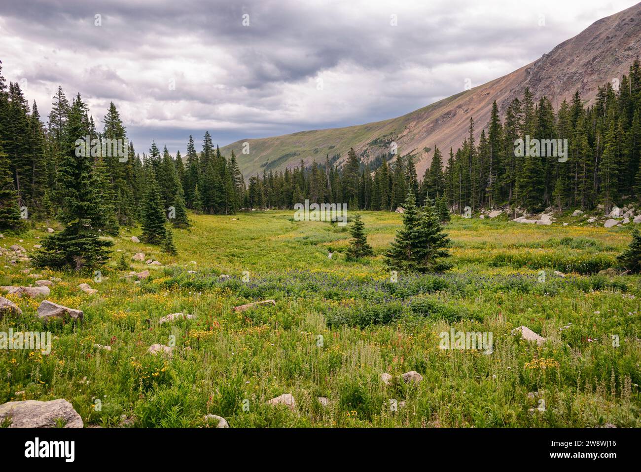 Landscape in the James Peak Wilderness, Colorado Stock Photo - Alamy
