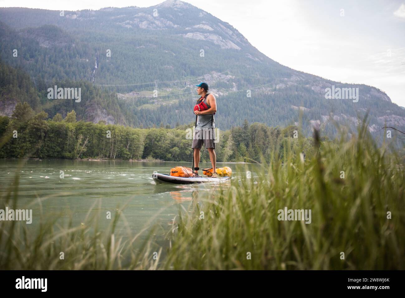 Low angle vie of paddle boarder on river in Squamish B.C Stock Photo ...