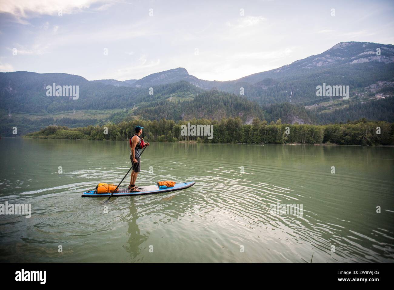 Stand up Paddleboarder exploring the Squamish River, B.C., Canada Stock ...