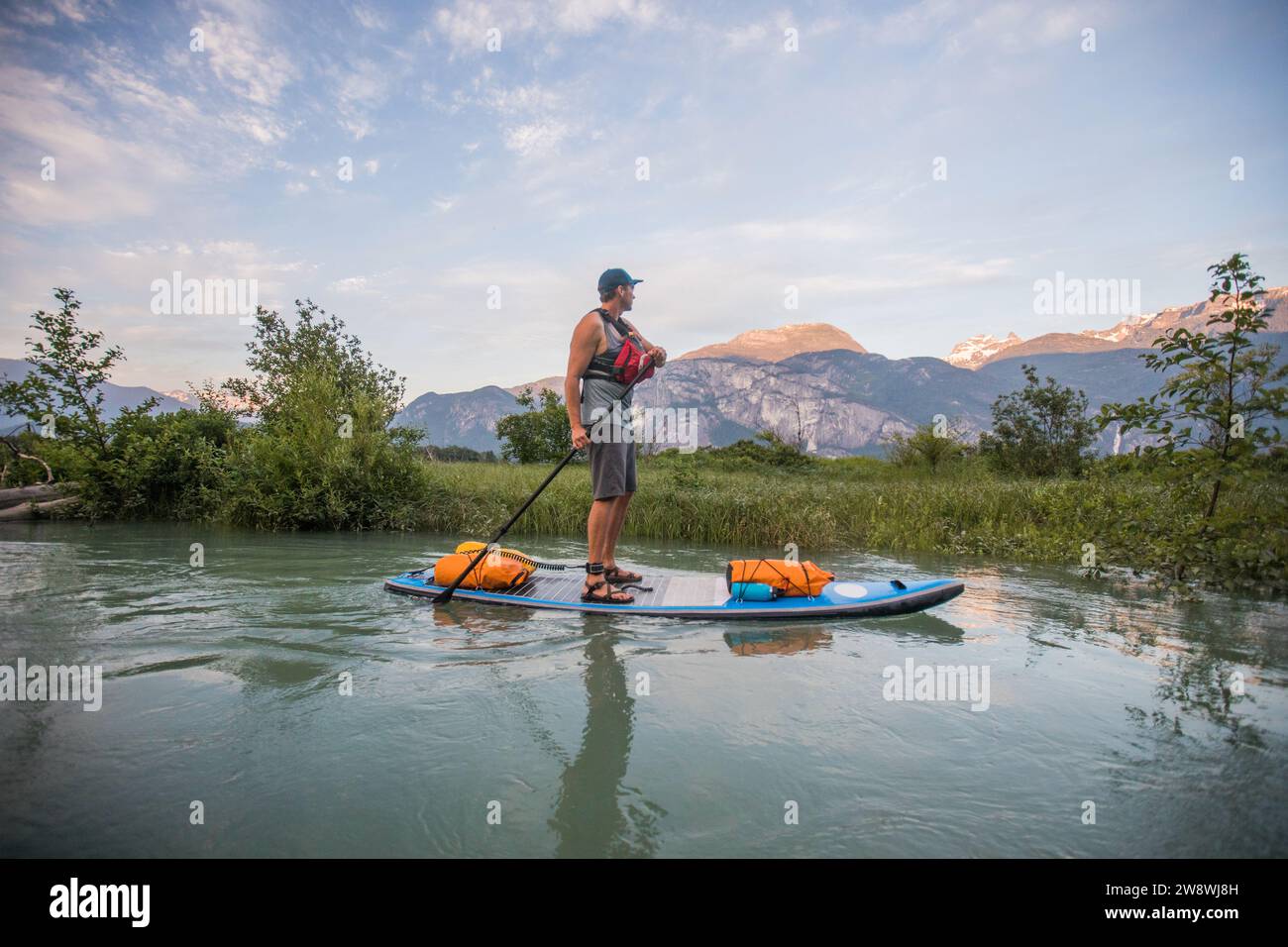 Side view of man paddling a stand up paddle board, Squamish B.C Stock ...