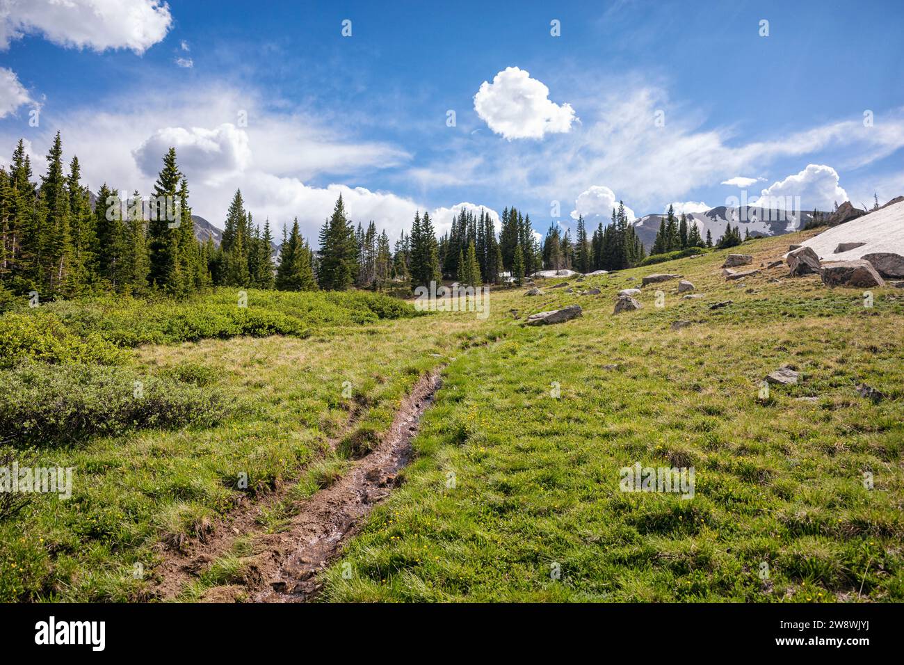 Hiking trail in the Indian Peaks Wilderness, Colorado Stock Photo - Alamy