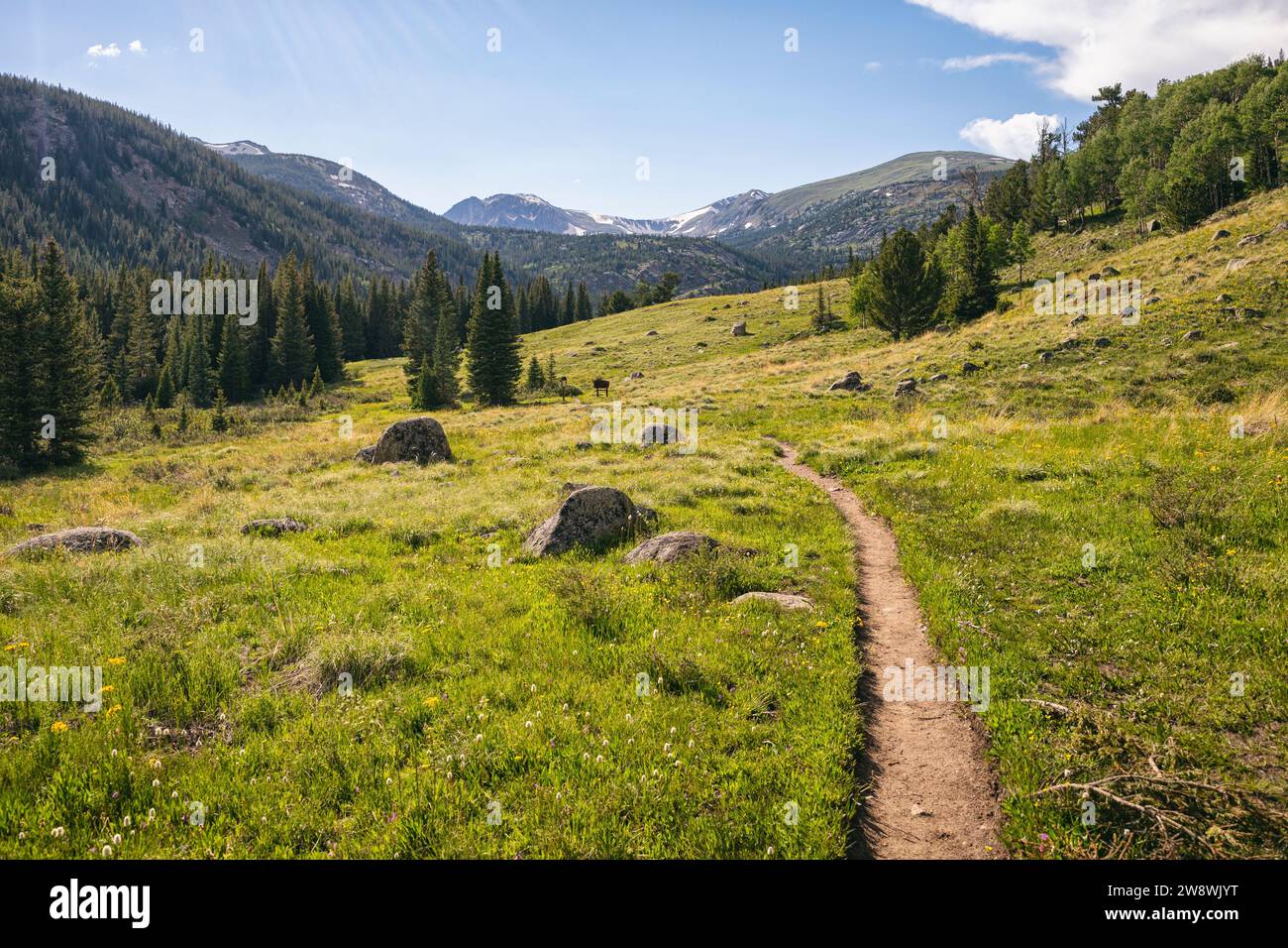 Hiking trail in the Indian Peaks Wilderness, Colorado Stock Photo - Alamy